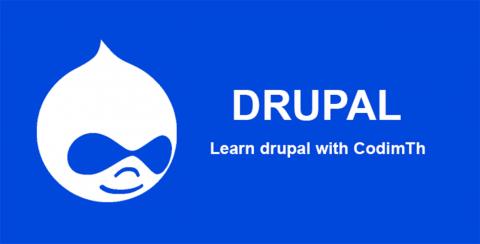 Create paragraphs and attach to node programmatically in drupal 10 | CodimTh